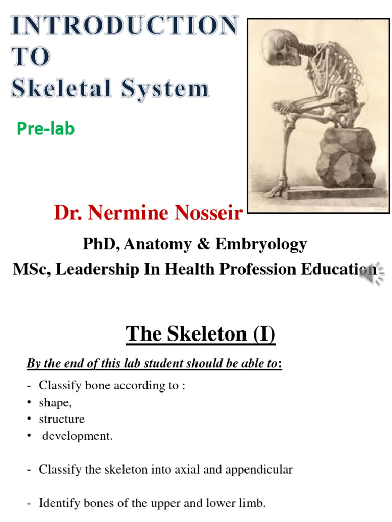 Ana - Introduction To Skeletal System - Audio | PDF