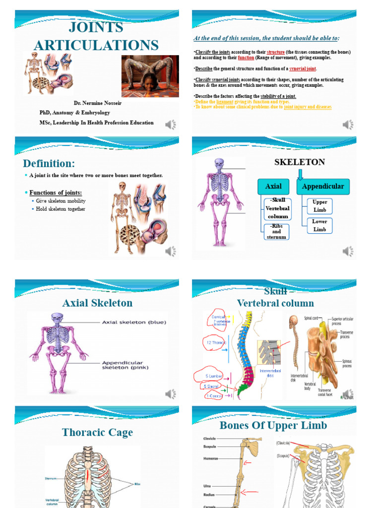 Ana - Joints Classifications | PDF | Anatomical Terms Of Motion | Joint