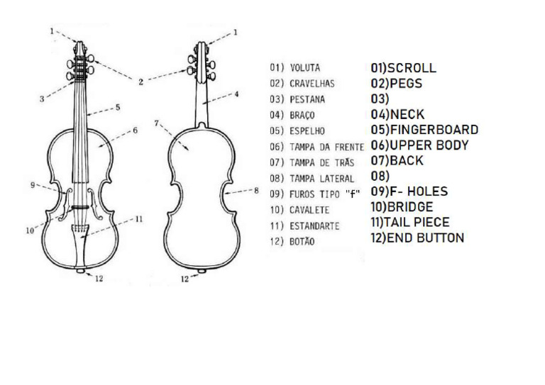Parts of Violin | PDF