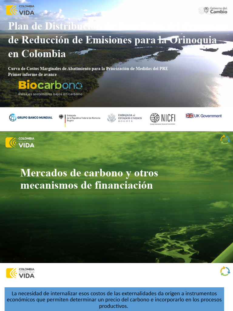 Presentación Producto1 Biocarbono | PDF | Reducción de emisiones por ...