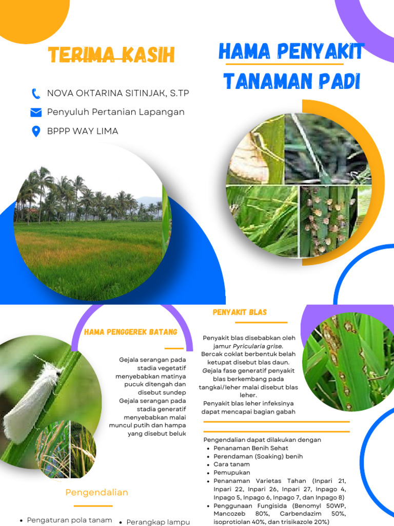 Hama Penyakit Padi Brosur | PDF