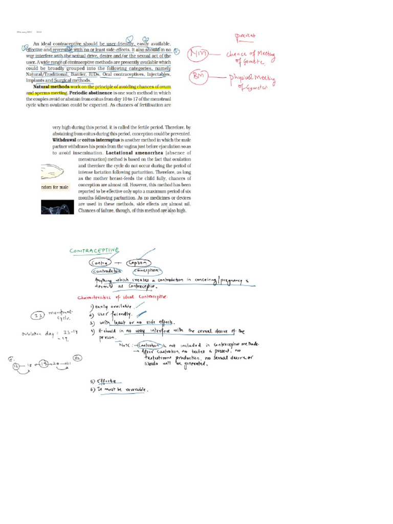 Contraceptive Notes | PDF