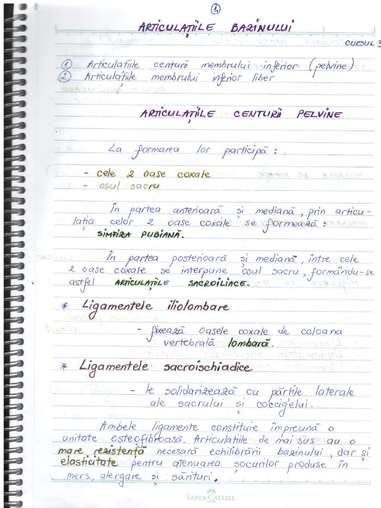 Curs 3 - Articulatiile Bazinului | PDF