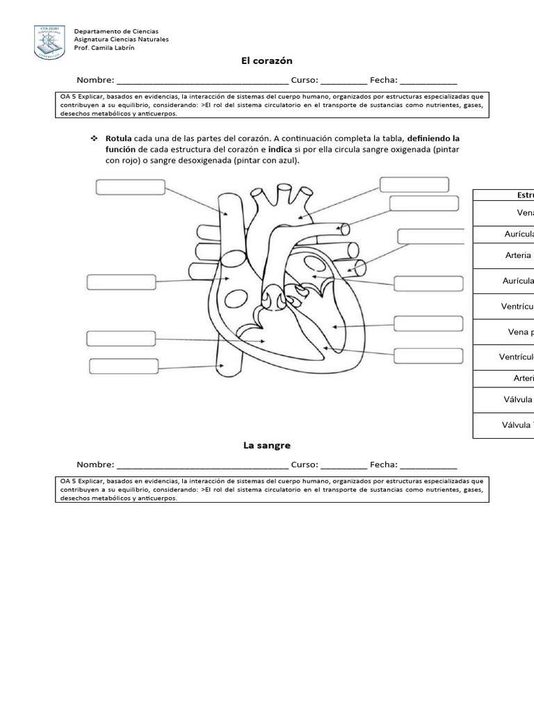 El Corazón Guia en Clases | PDF