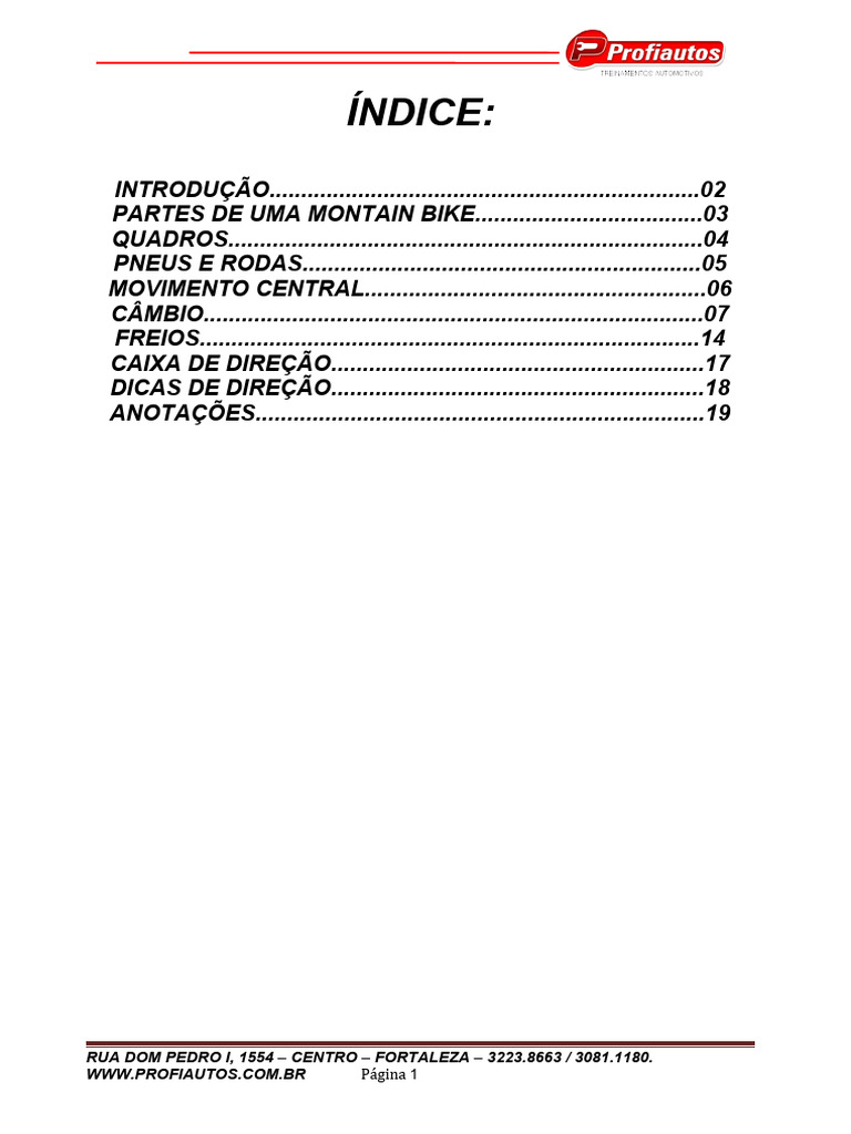 Apostila Bike | PDF