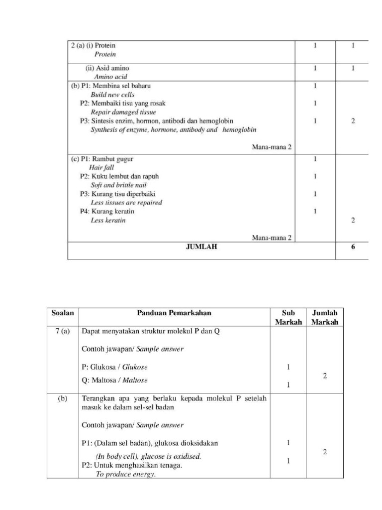 Jawapan Bio t4 Bab 4 | PDF