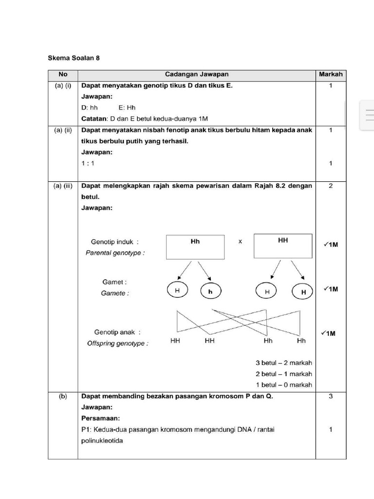 Jawapan Bio t5 Bab 11 | PDF