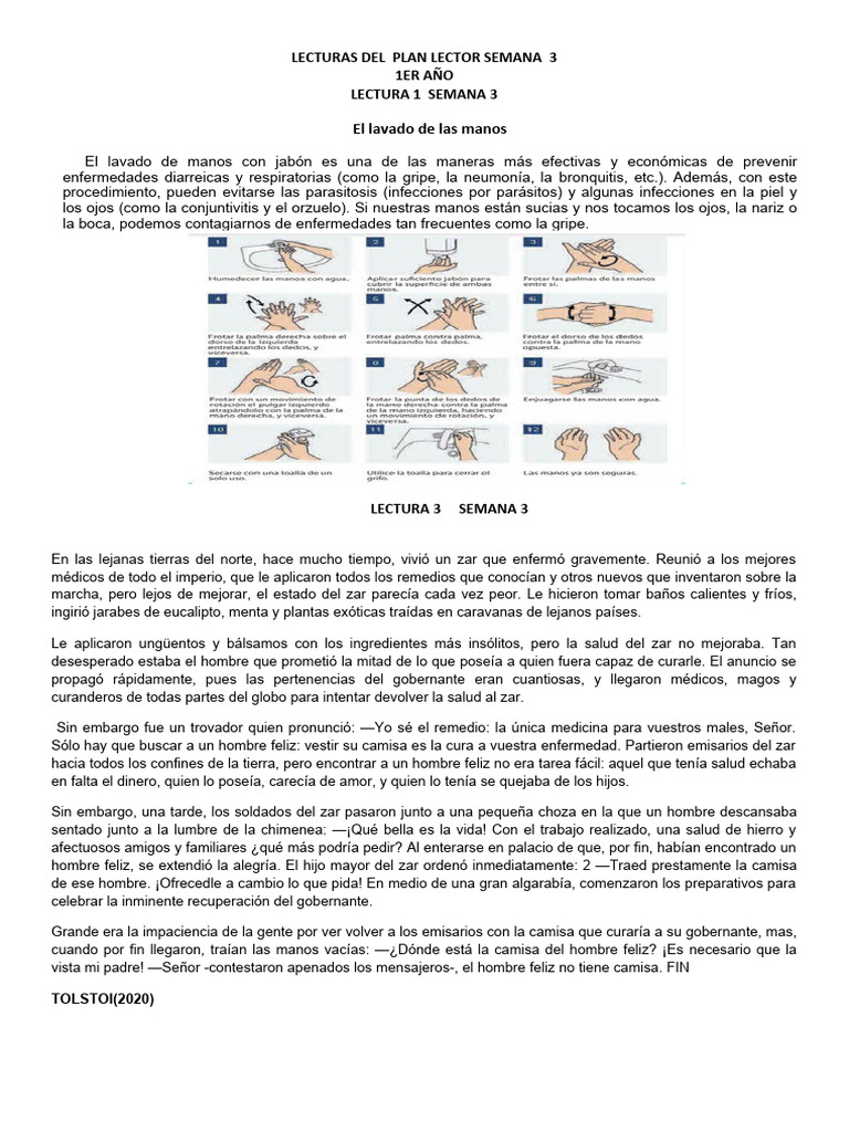 LECTURAS DEL PLAN LECTOR SEMANA 3 - 4 1er Año | PDF