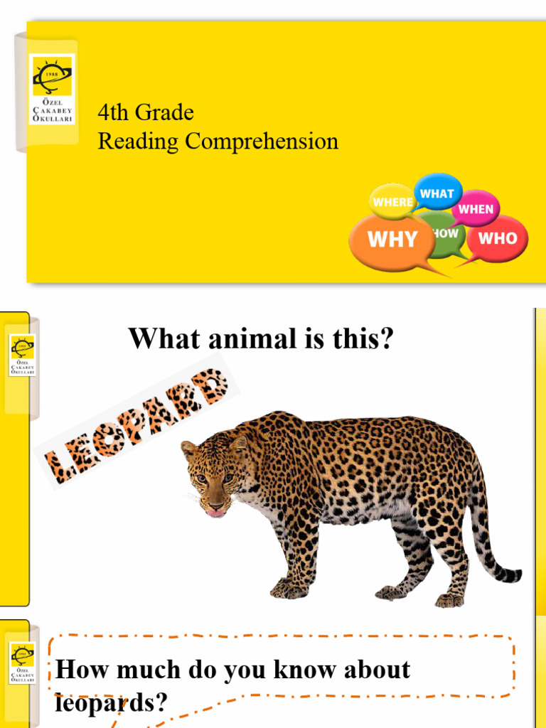 WH Reading-Leopards | PDF