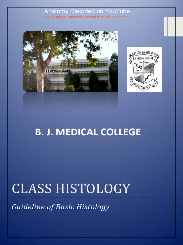Histology Slides BJMC Anatomy Decoded YouTube | PDF | Science & Mathematics