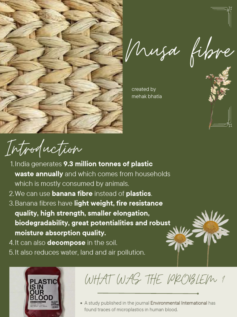 Mehak Bhatia's Presentation | PDF