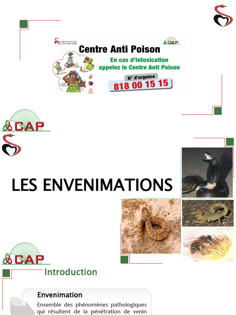Les Envénimations Zig | PDF