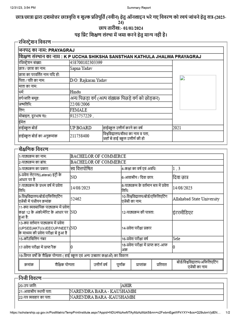 Sapna Summary Report | PDF