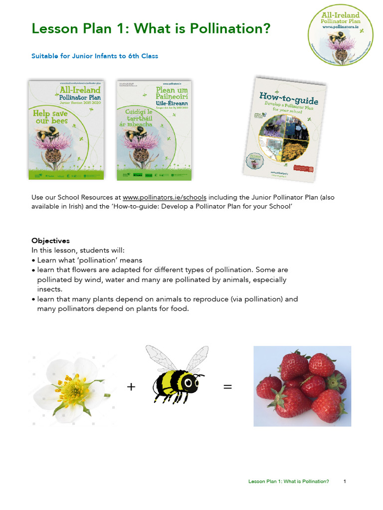1 Lesson Plan 1 What Is Pollination | PDF | Pollination | Flowers