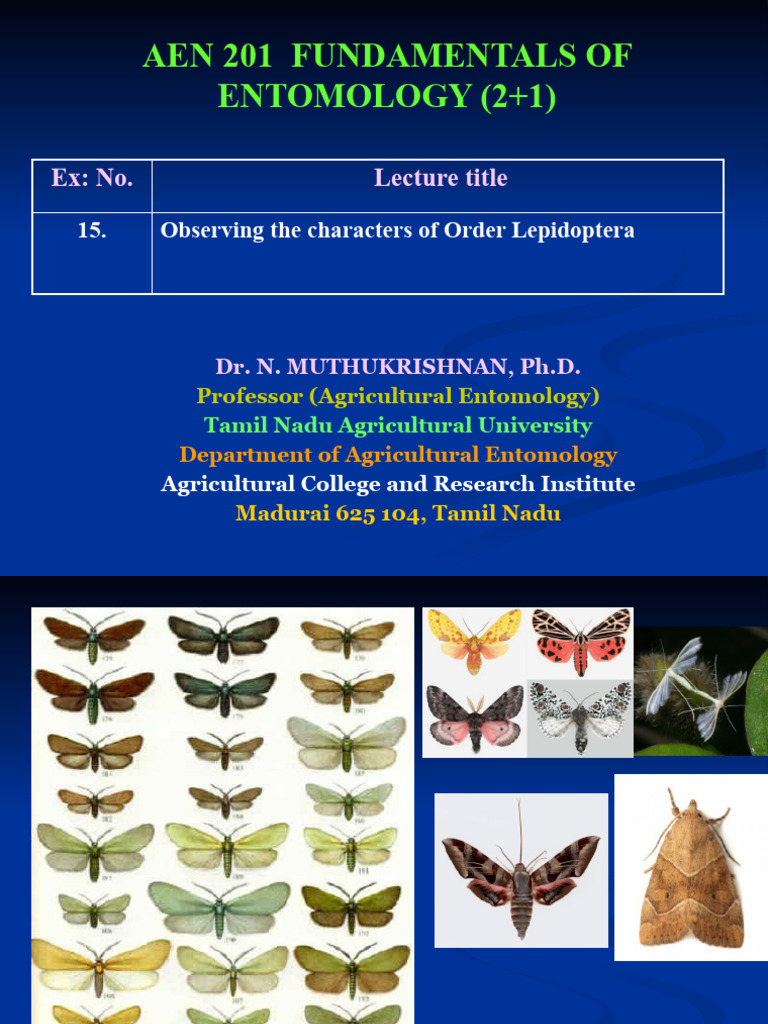 Ex. No. 15. Observing The Characters of Lepidoptera | PDF