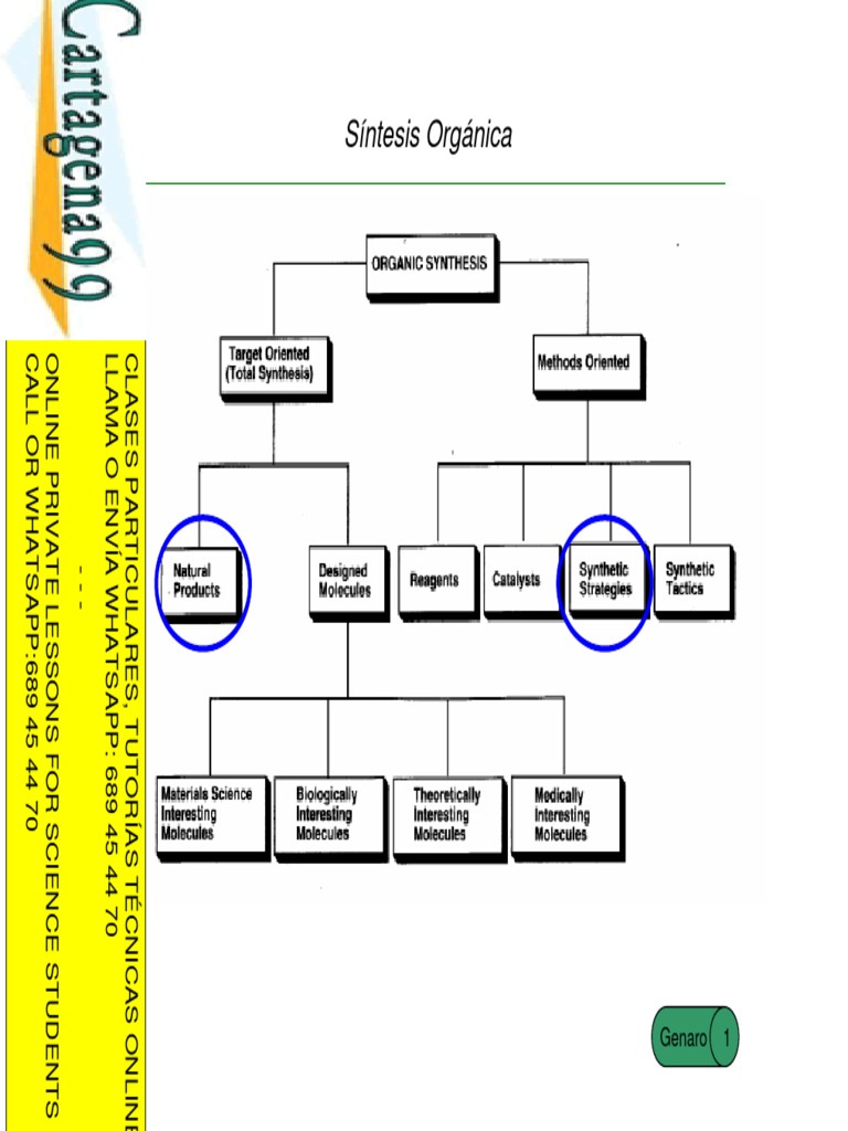 Sintesis Quimica Organica | PDF