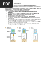 Photosynthesis: Starch Testing Methods | PDF | Photosynthesis | Leaf