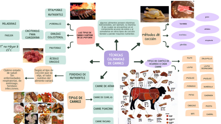 Mapa Conceptual Carneeeeeeeee | PDF | Cocinando | Carne