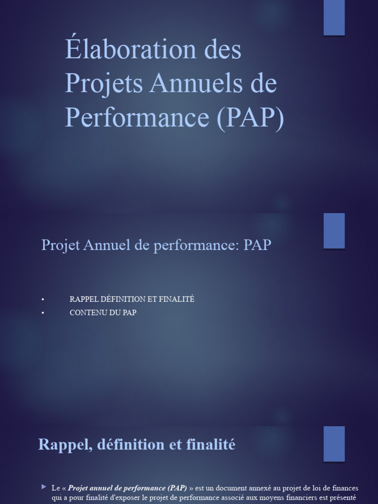 Présentation 03_Élaboration Des Projets Annuels de Performance (PAP) | PDF | Budget