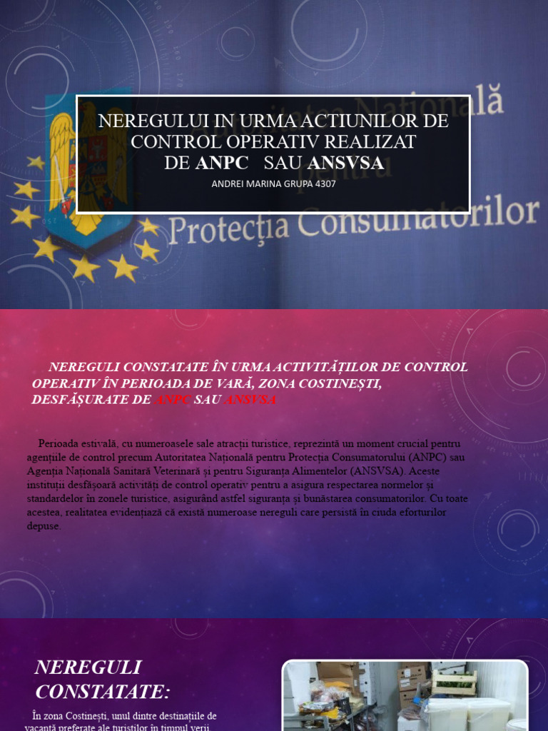 Anpc Ansvsa Andrei Marina 4307 | PDF