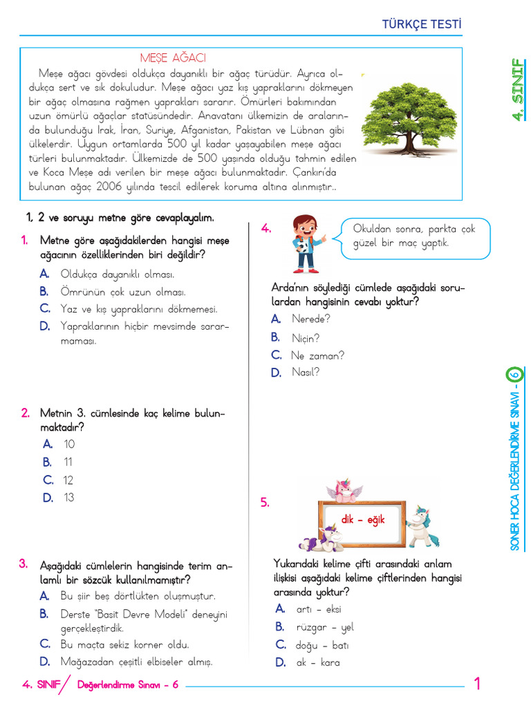 4.-SINIF-DENEME-6-1-1-1-1 | PDF
