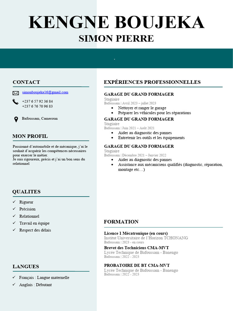 CV de Simon Pierre - Mécatronique | PDF