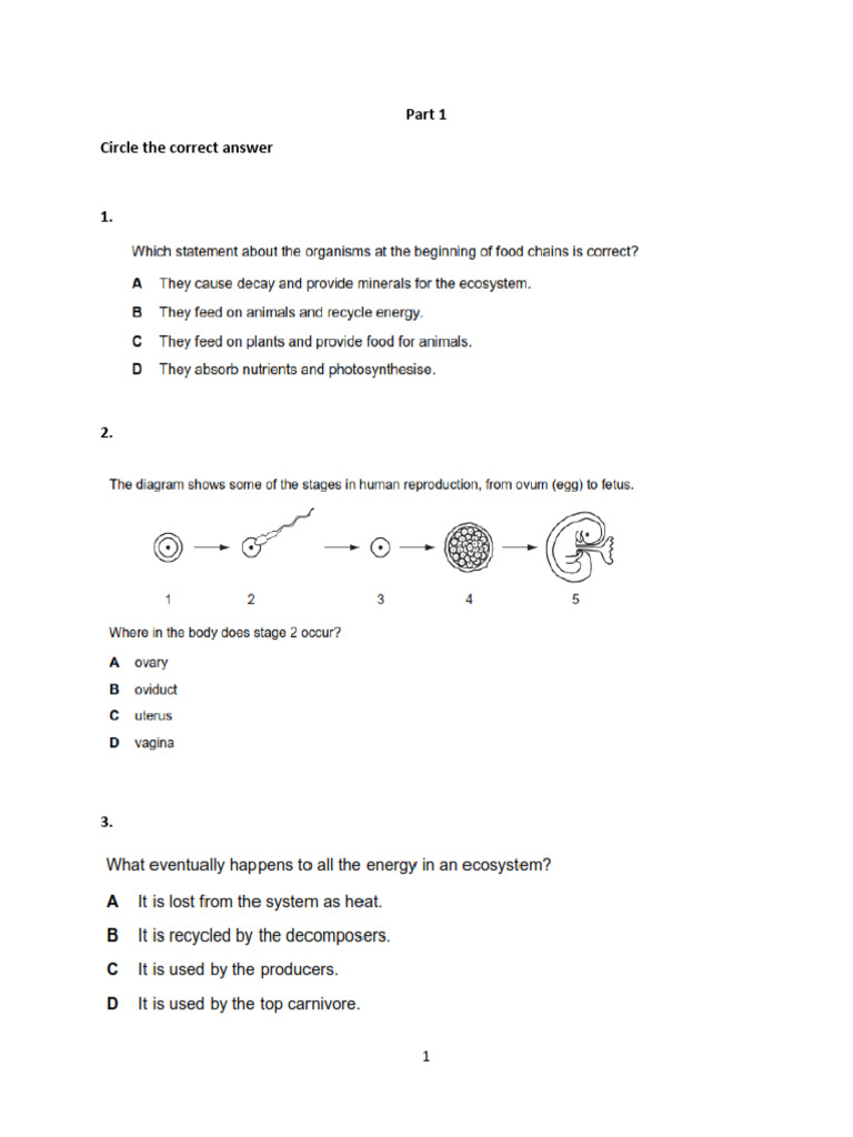 2019 2020 Biology 2nd Term | PDF | Biology | Organisms