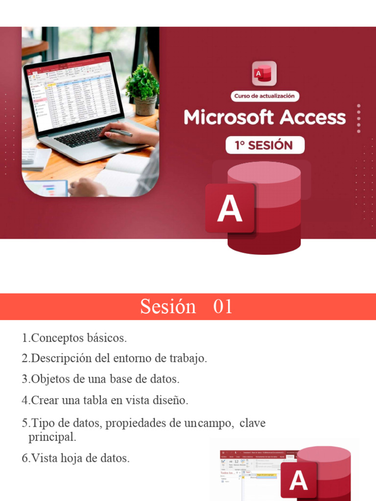 MS Access Teoria | PDF