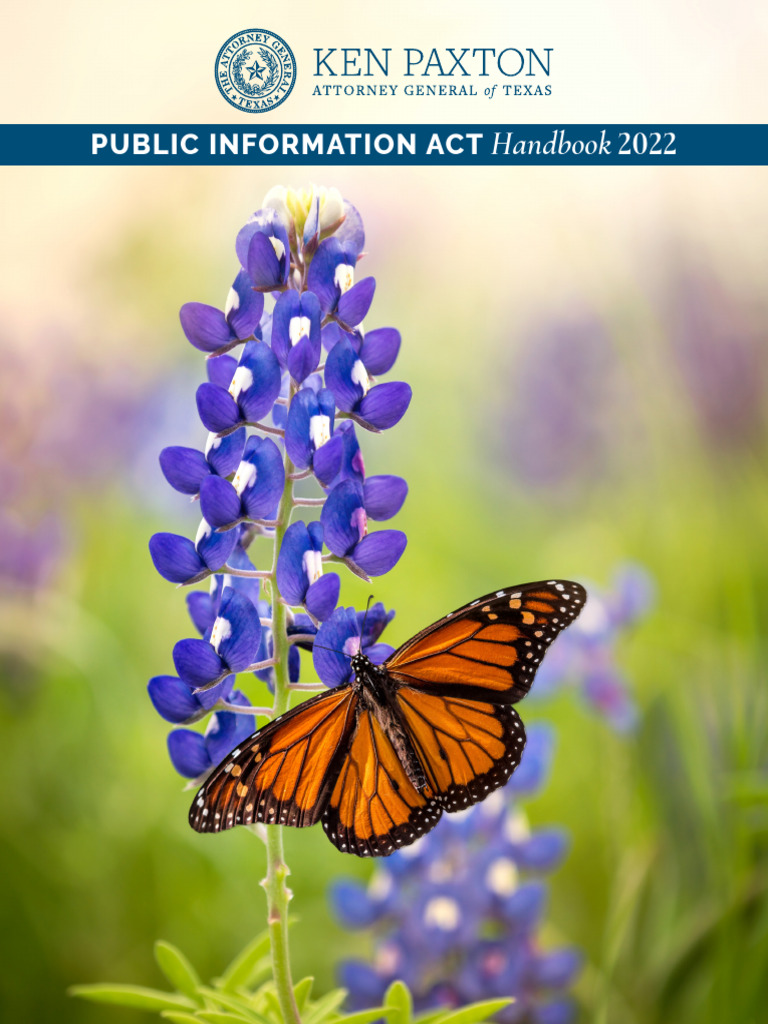 Texas Public Info Act TPIA PDF | PDF
