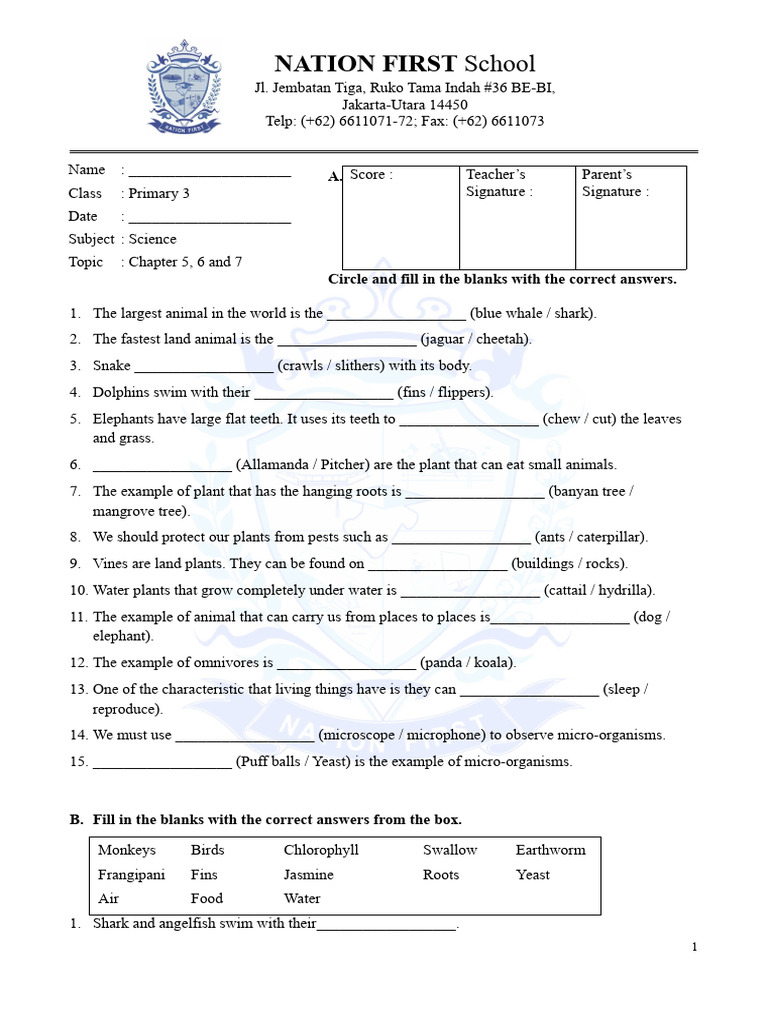 P3 Science Worksheet Chapter 5, 6 and 7 | PDF | Plants | Flowers
