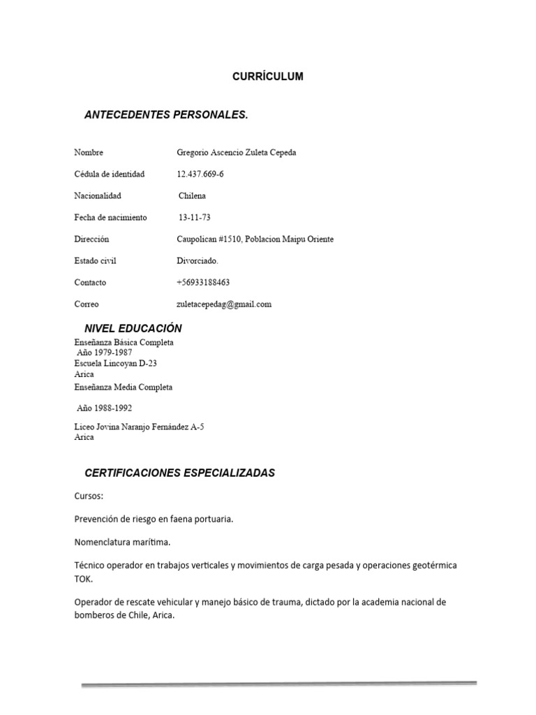 Curriculum Gregorio | PDF