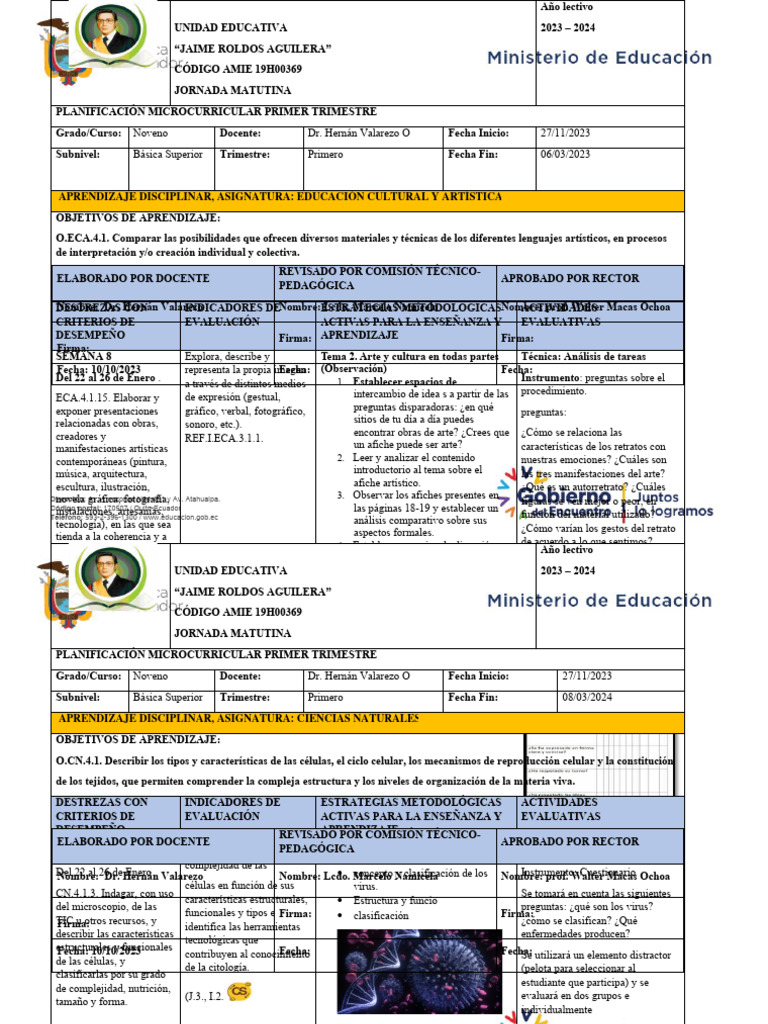 Planificacion 9NO 2DO TRIMESTRE | PDF