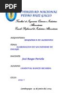 Acidez y PH Del Limon | PDF | Ph | Valoración