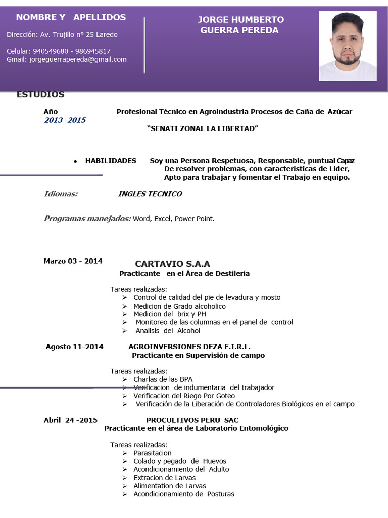 CV Jorge Guerra 2024 | PDF