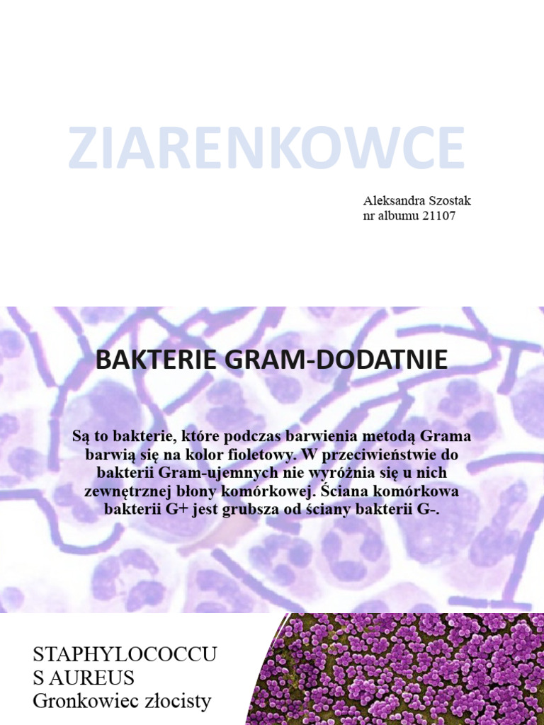 Mikrobiologia Bakterie G+ | PDF