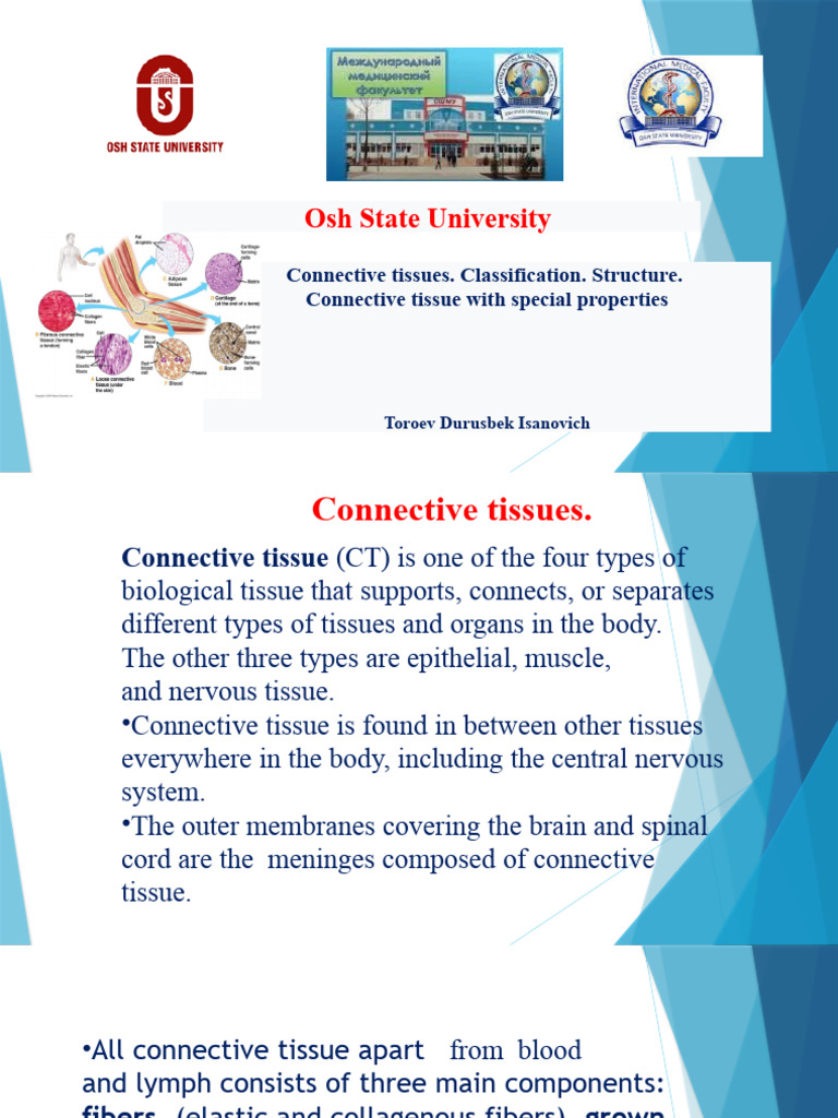 Connective Tissues | PDF