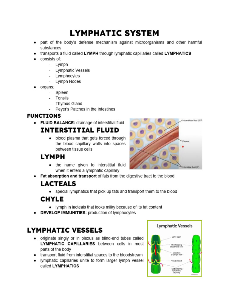 Lymphatic System | PDF
