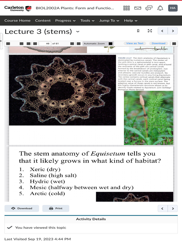 Lecture 3 (Stems) - BIOL2002A Plants Form and Function (LEC) Fall 2023 ... Lecture 3 (Stems) - BIOL2002A Plants Form and Function (LEC) Fall 2023 ...
