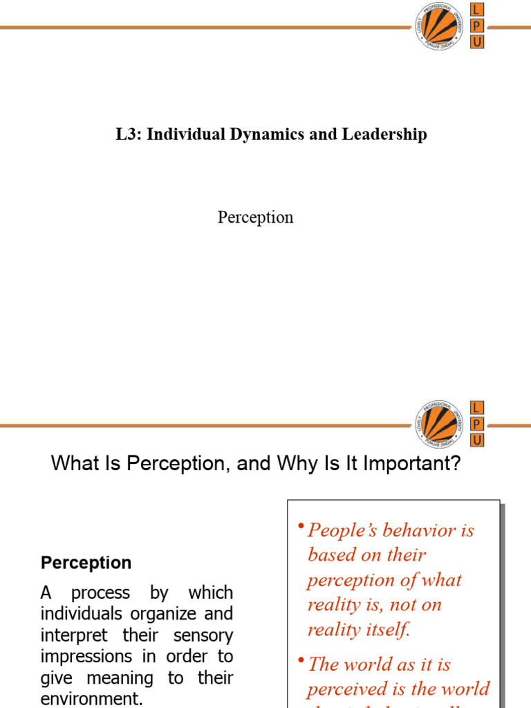 Perception | PDF