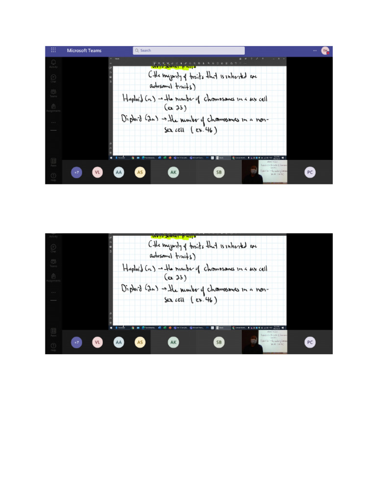 Genetics Notes - Grade 11 Biology | PDF