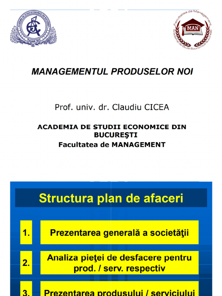 Curs Seminar MPN 10 (Structura Plan de Afaceri) | PDF