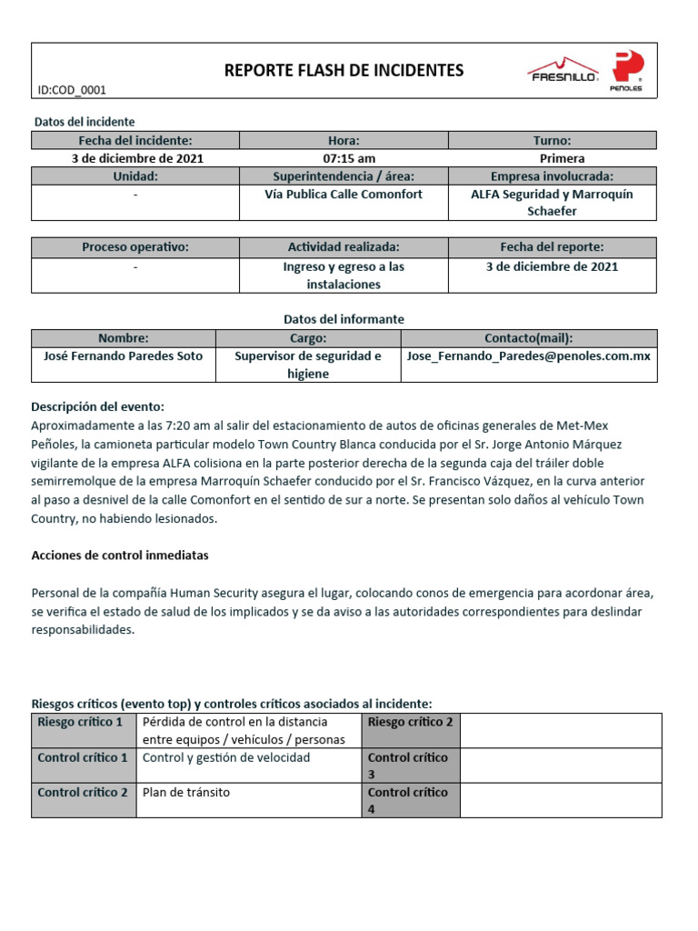 Formato Reporte Flash | PDF