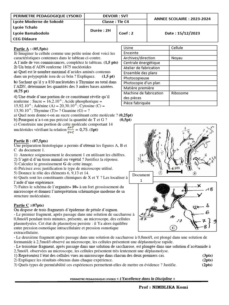 DST - SVT - Tle c4 - 15-12-2023 | PDF