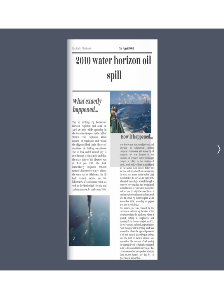 Oil Spill Report | PDF