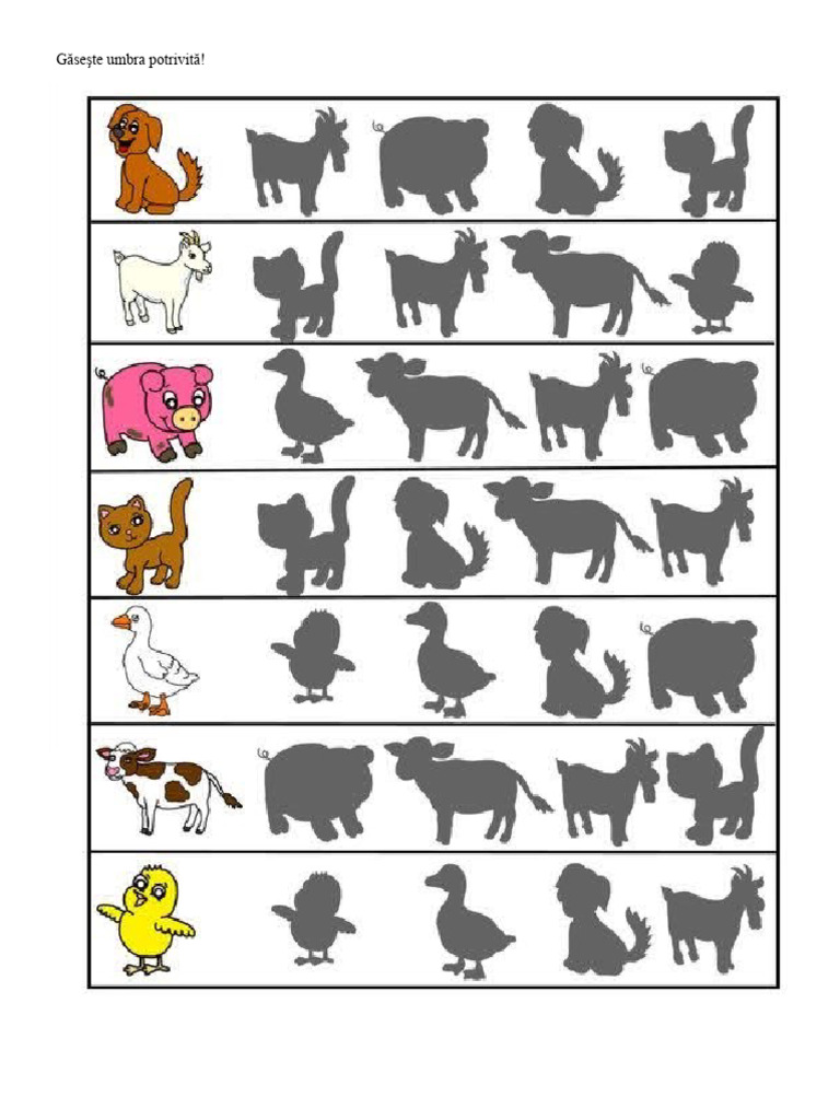 Fise Animale Domestice1 | PDF