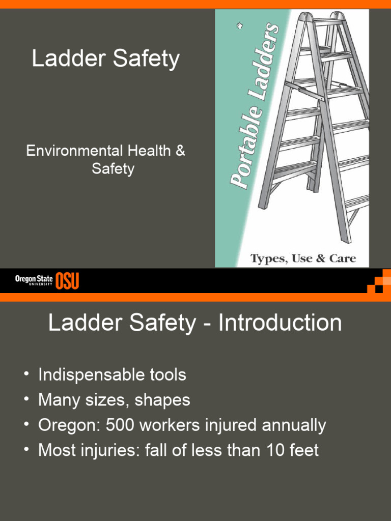 Ladder Safety | PDF