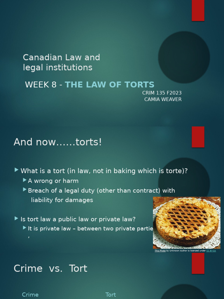 Understanding Tort Law in Canada | PDF