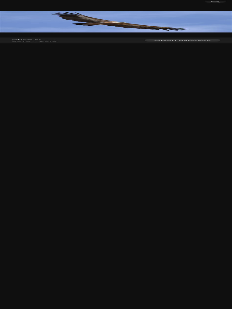 Jastreb at DuckDuckGo | PDF