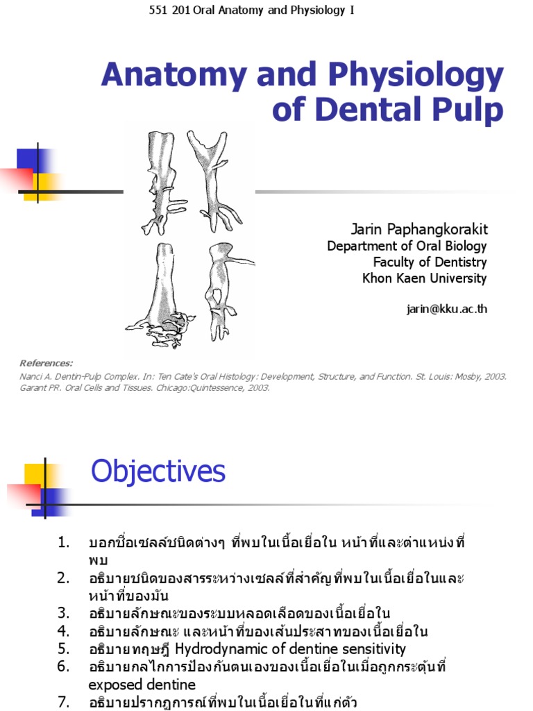 Anatomy and Physiology of Dental Pulp | PDF