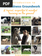 Pony Club C Test Guidelines | PDF | Horse Gait | Horses